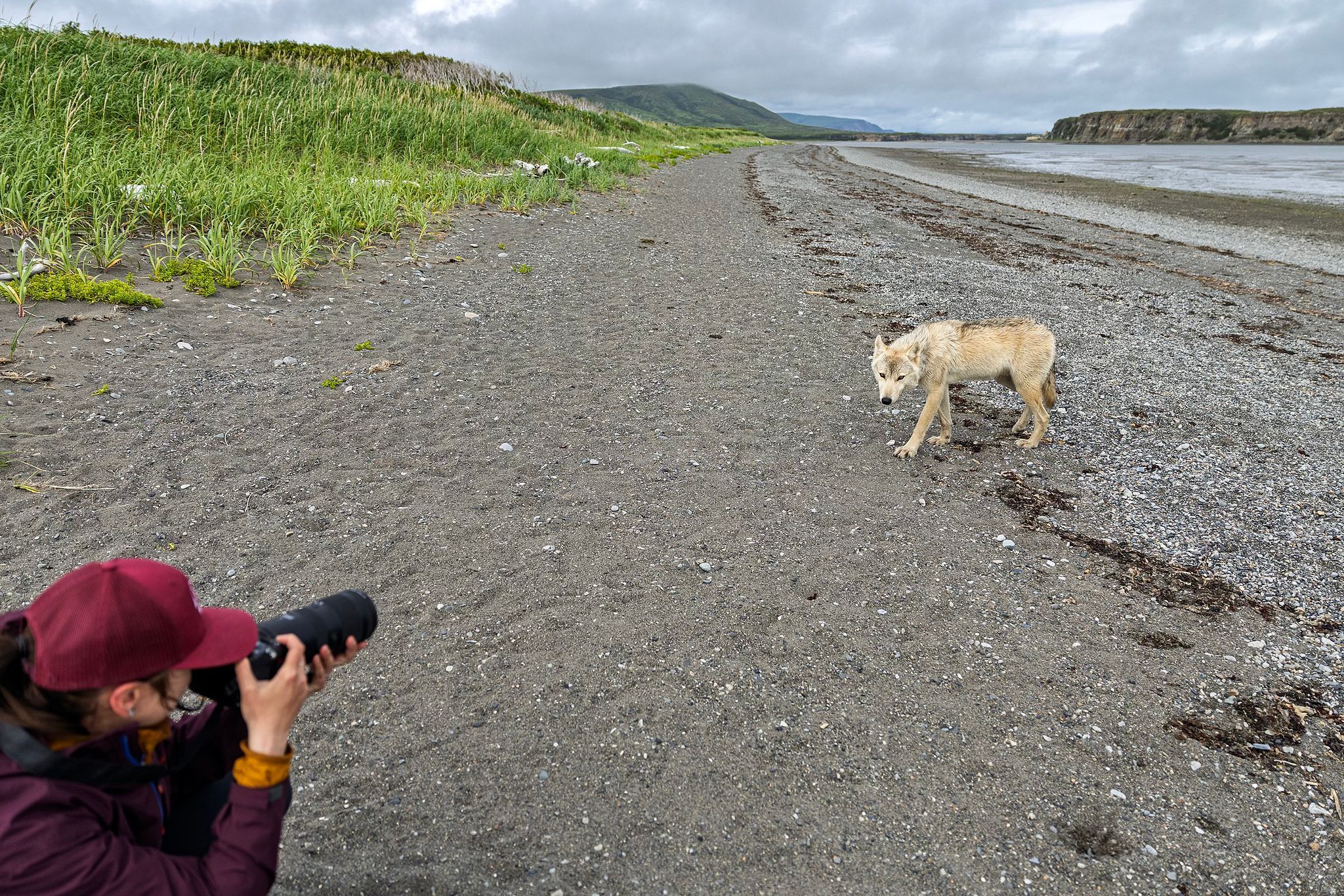 Candace | Candace Dyar Photography