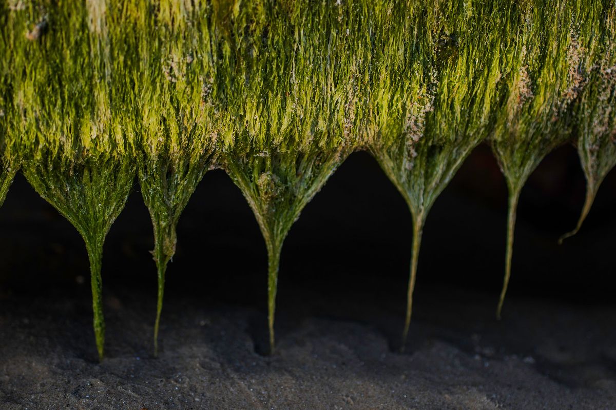 Abstract Photography Portfolio | Creative & Artistic Visuals | “Iza ...