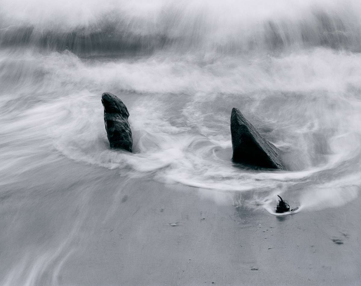 Dave Carter