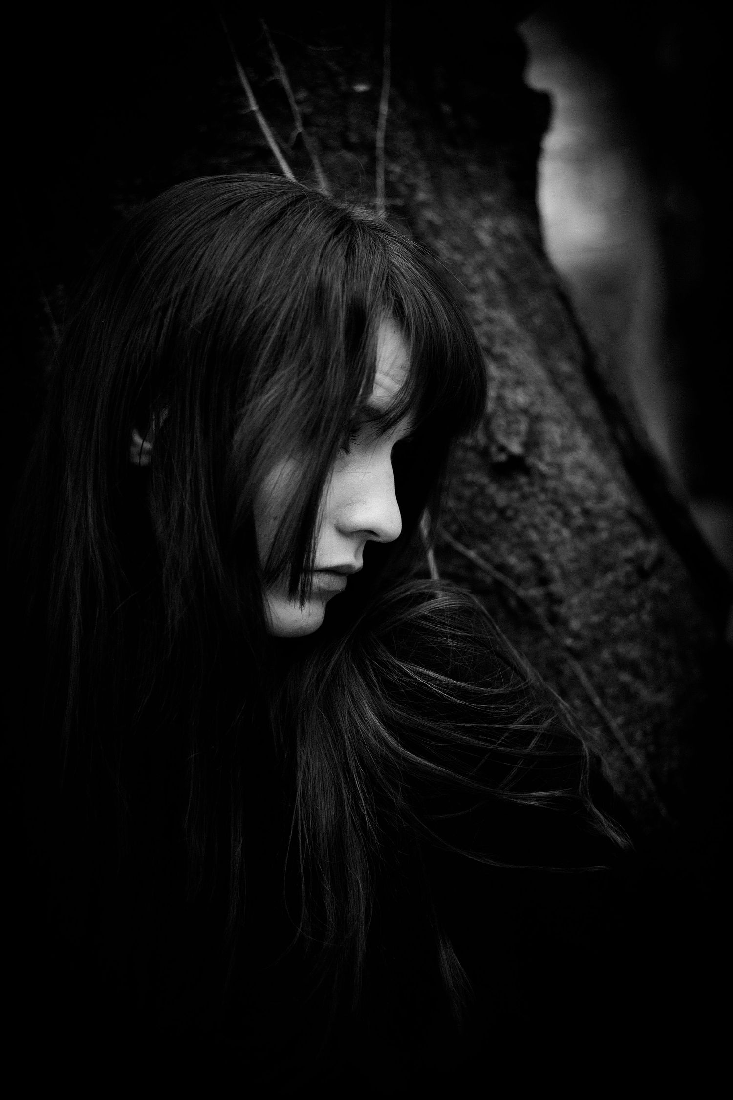 The photography of André van Rensburg