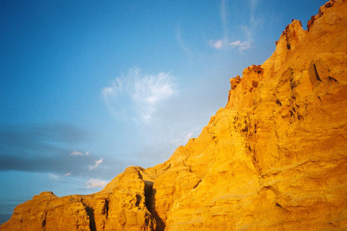 Contax Tvs Review