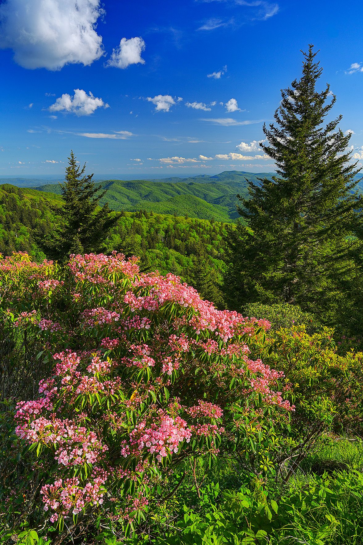 Miscellaneous Blue Ridge Parkway, North Carolina Gallery | Lightscapes ...