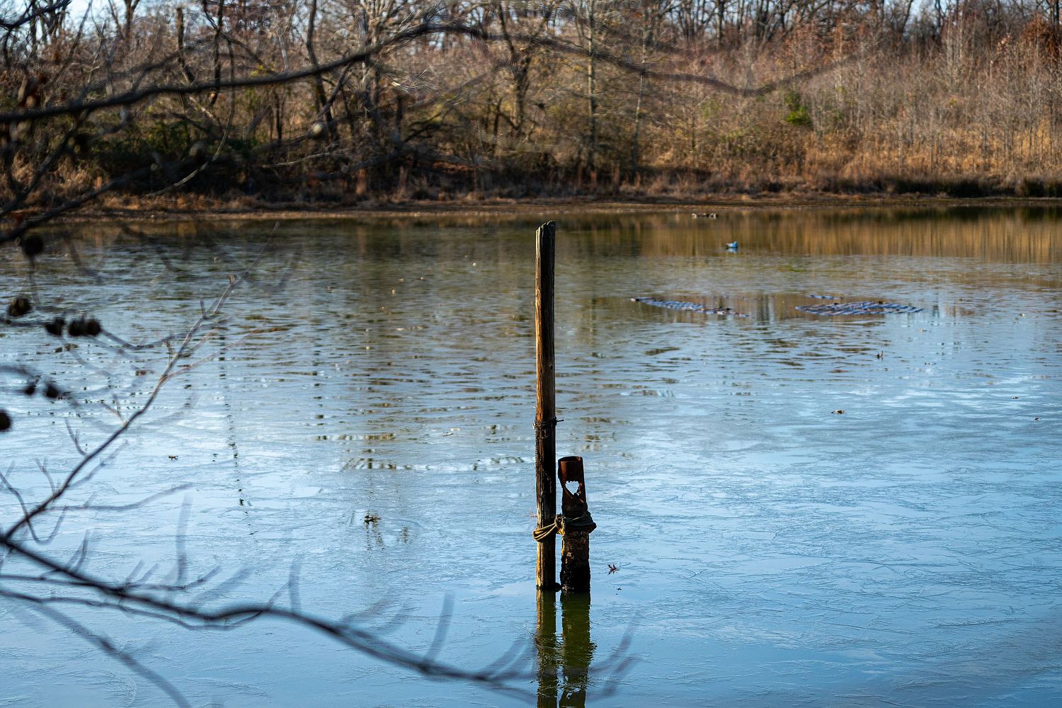 Photography | Zach Carlson Design